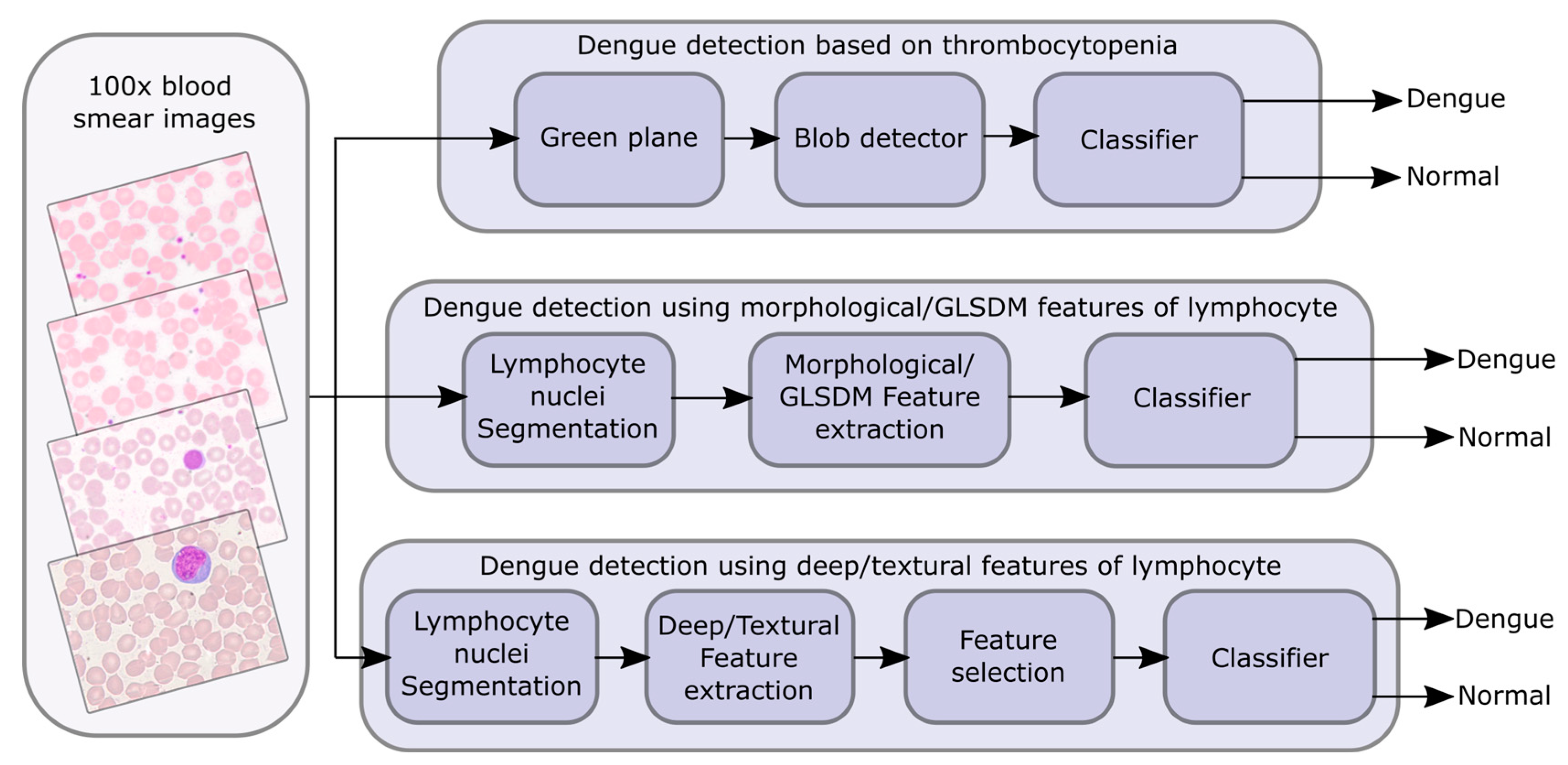 Machine Learning-Based Detection of Dengue from Blood Smear Images Utilizing Platelet and ...