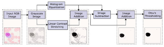 Machine Learning-Based Detection of Dengue from Blood Smear Images Utilizing Platelet and ...