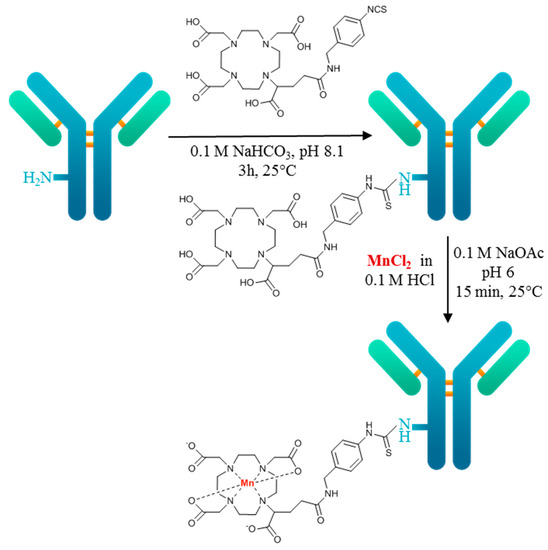 In Vivo Preclinical Assessment of the VEGF Targeting Potential of the ...