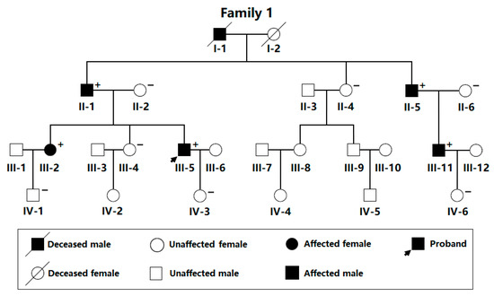 Identification of BMP10 as a Novel Gene Contributing to Dilated ...
