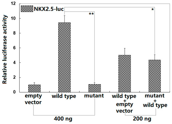 Identification of BMP10 as a Novel Gene Contributing to Dilated ...