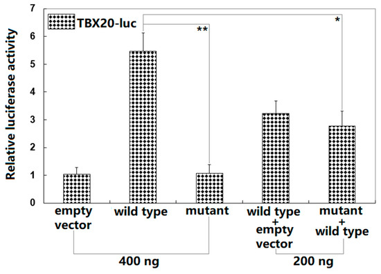 Identification of BMP10 as a Novel Gene Contributing to Dilated ...