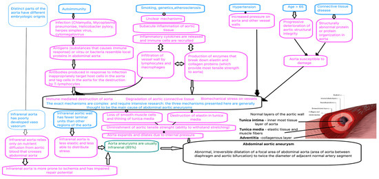 Molecular and Cellular Mechanisms Involved in Aortic Wall Aneurysm ...