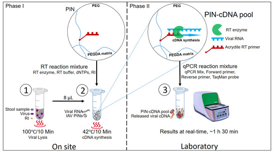 Microparticles as Viral RNA Carriers from Stool for Stable and ...