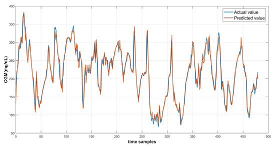Feature Transformation for Efficient Blood Glucose Prediction in Type 1 ...