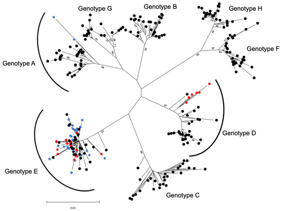 Diagnostics | Free Full-Text | First Molecular Characterization of ...