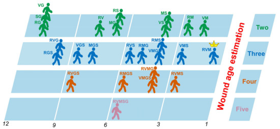 Novel Prediction Method Applied to Wound Age Estimation: Developing a ...