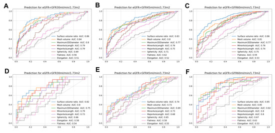Changes in CT-Based Morphological Features of the Kidney with Declining ...