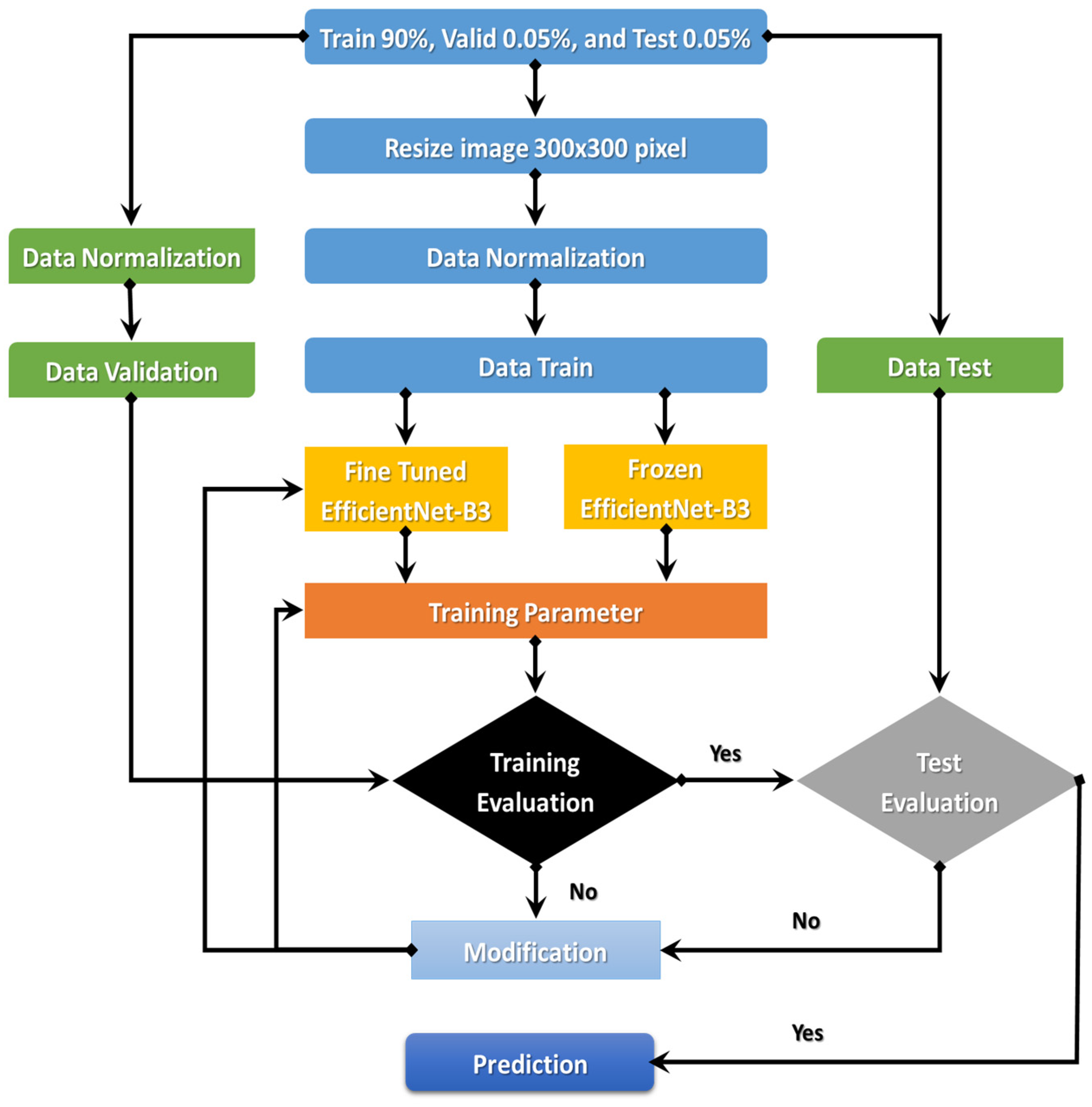 Computer-Aided Diagnosis System for Blood Diseases Using EfficientNet-B3 Based on a Dynamic ...
