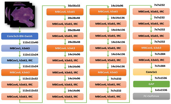 Computer-Aided Diagnosis System for Blood Diseases Using EfficientNet-B3 Based on a Dynamic ...