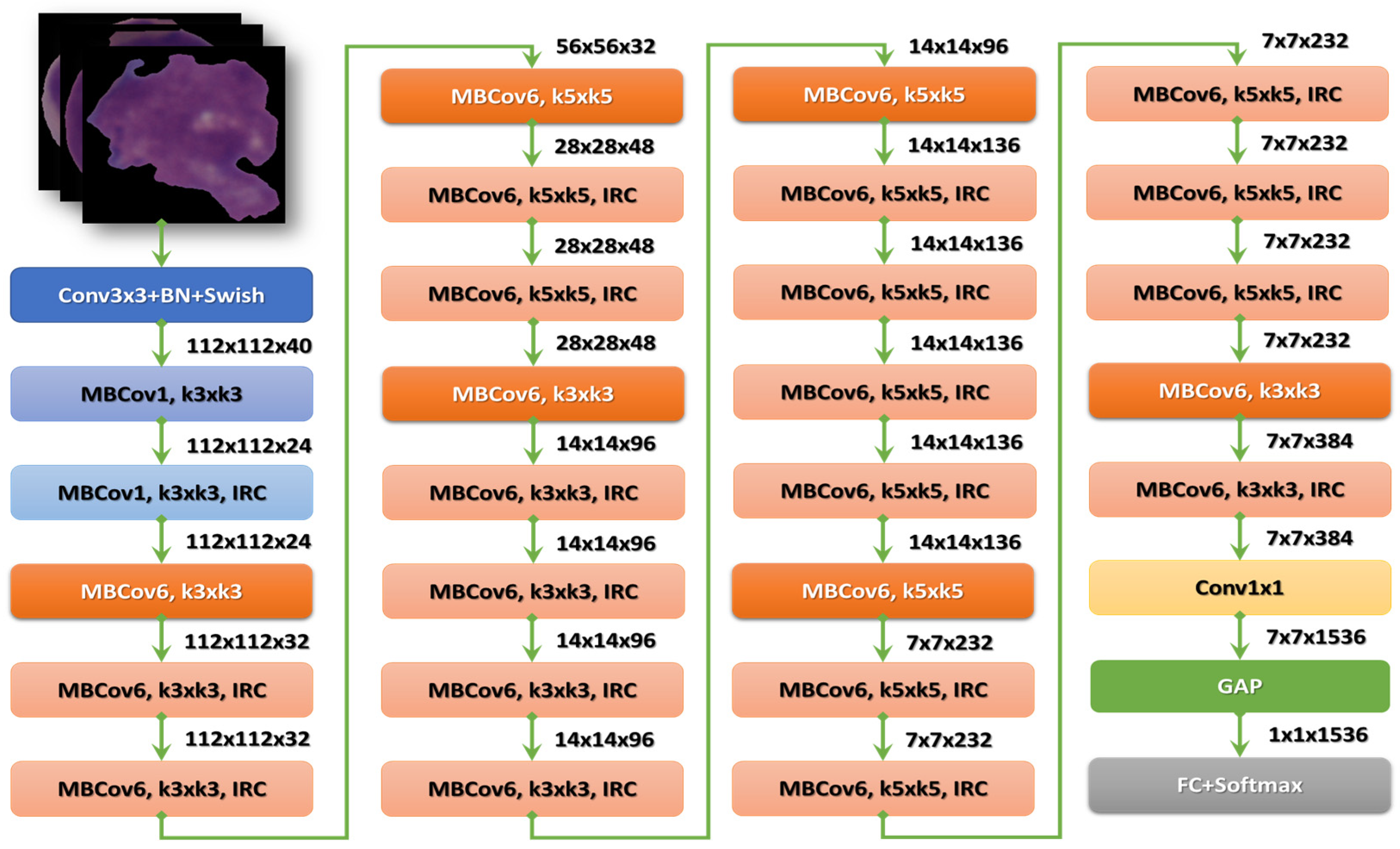 Computer-Aided Diagnosis System for Blood Diseases Using EfficientNet-B3 Based on a Dynamic ...
