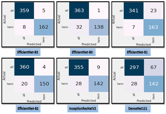 Computer-Aided Diagnosis System for Blood Diseases Using EfficientNet-B3 Based on a Dynamic ...