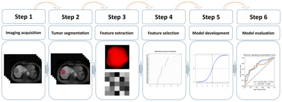 Diagnostics | Free Full-Text | Development and External Validation of a Radiomics Model Derived ...