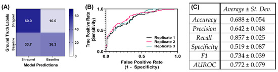 Using Ultrasound Image Augmentation and Ensemble Predictions to Prevent Machine-Learning Model ...