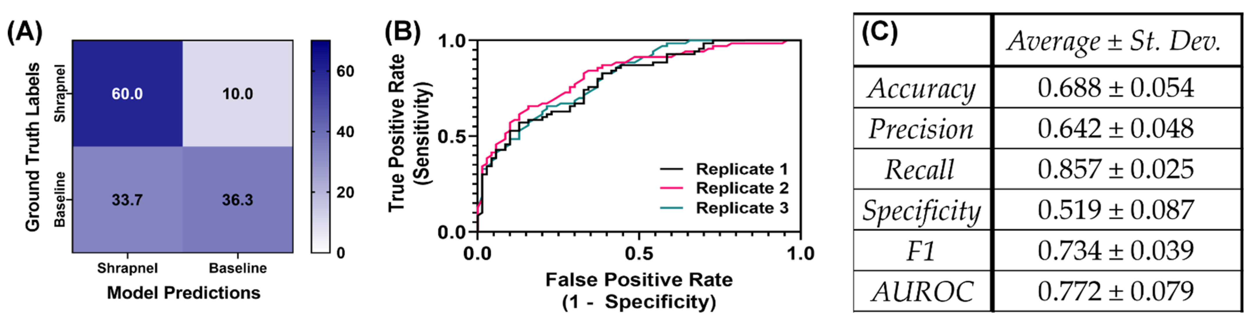 Using Ultrasound Image Augmentation and Ensemble Predictions to Prevent Machine-Learning Model ...