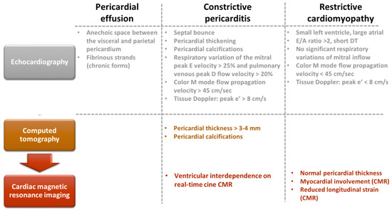 Cardiovascular Involvement in Tuberculosis: From Pathophysiology to ...