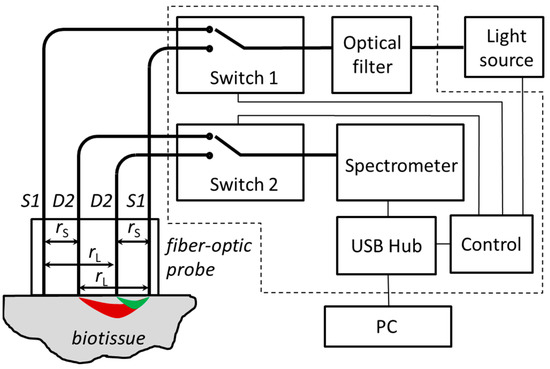 VIS-NIR Diffuse Reflectance Spectroscopy System with Self-Calibrating Fiber-Optic Probe: Study ...