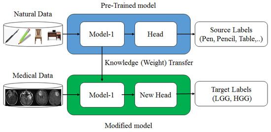 Role of Ensemble Deep Learning for Brain Tumor Classification in ...