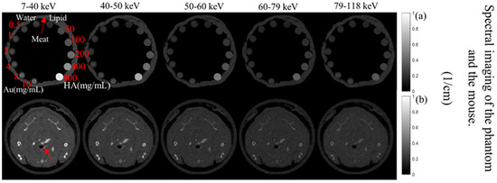 Spectral Photon-Counting CT Imaging of Gold Nanoparticle Labelled ...