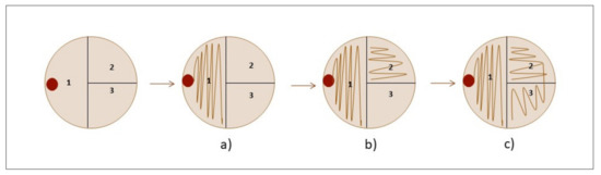 Evaluation of InTray Cassettes Directly from Blood Cultures for the ...