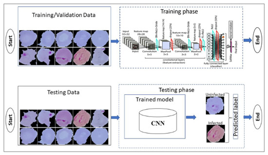 Performance Analysis of Deep Learning Algorithms in Diagnosis of ...