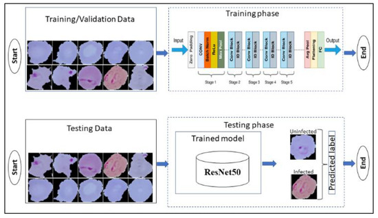 Performance Analysis of Deep Learning Algorithms in Diagnosis of ...