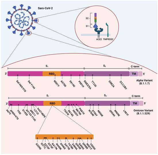 SARS-CoV-2 Omicron (B.1.1.529) Variant: A Challenge with COVID-19
