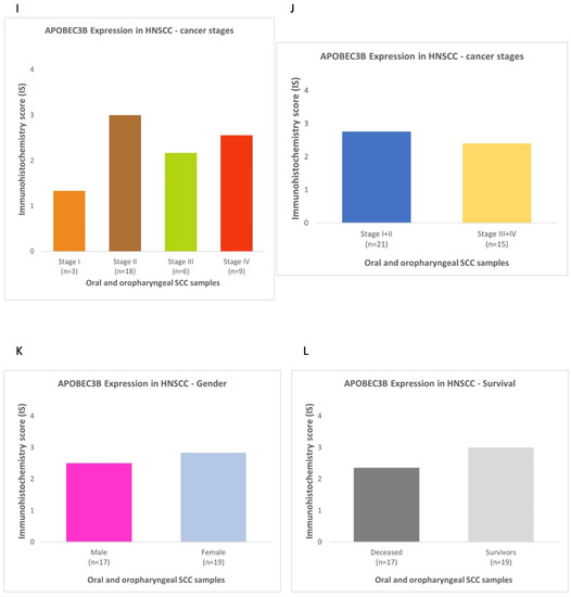 APOBEC3B Is Co-Expressed with PKCα/NF-κB in Oral and Oropharyngeal ...