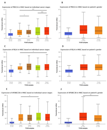 APOBEC3B Is Co-Expressed with PKCα/NF-κB in Oral and Oropharyngeal ...