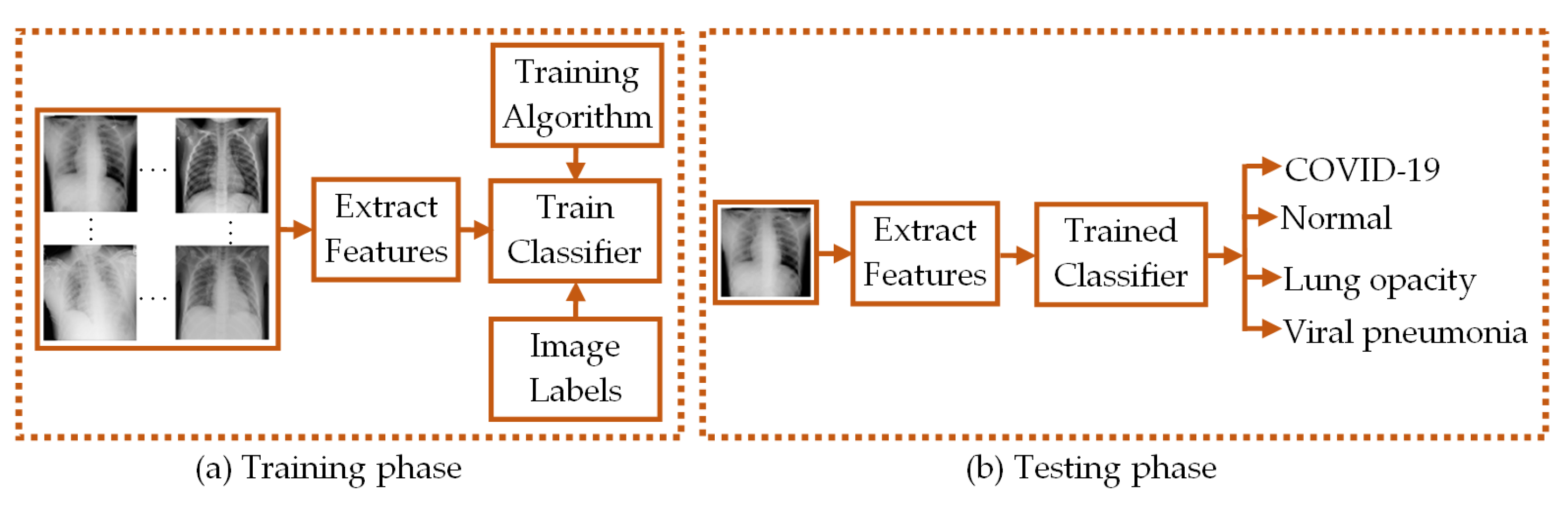 Diagnostics | Free Full-Text | In Search of an Efficient and Reliable ...