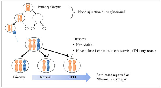 Prenatal Diagnosis of Uniparental Disomy in Cases of Rare Autosomal ...