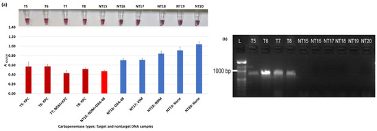 Nanoparticle-Based Plasmonic Biosensor for the Unamplified Genomic ...