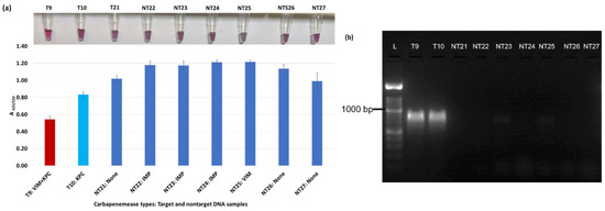 Nanoparticle-Based Plasmonic Biosensor for the Unamplified Genomic ...