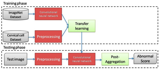 Diagnostics | Free Full-Text | Developing a Tuned Three-Layer Perceptron Fed with Trained Deep ...