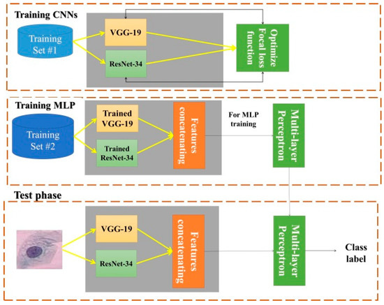 Diagnostics | Free Full-Text | Developing a Tuned Three-Layer Perceptron Fed with Trained Deep ...