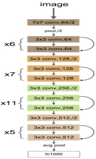 Diagnostics | Free Full-Text | Developing a Tuned Three-Layer Perceptron Fed with Trained Deep ...