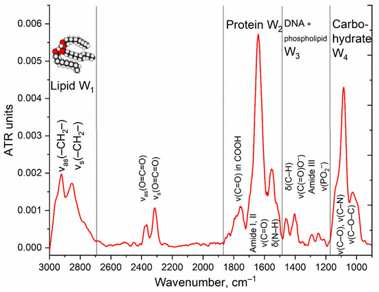 Application Prospects of FTIR Spectroscopy and CLSM to Monitor the ...