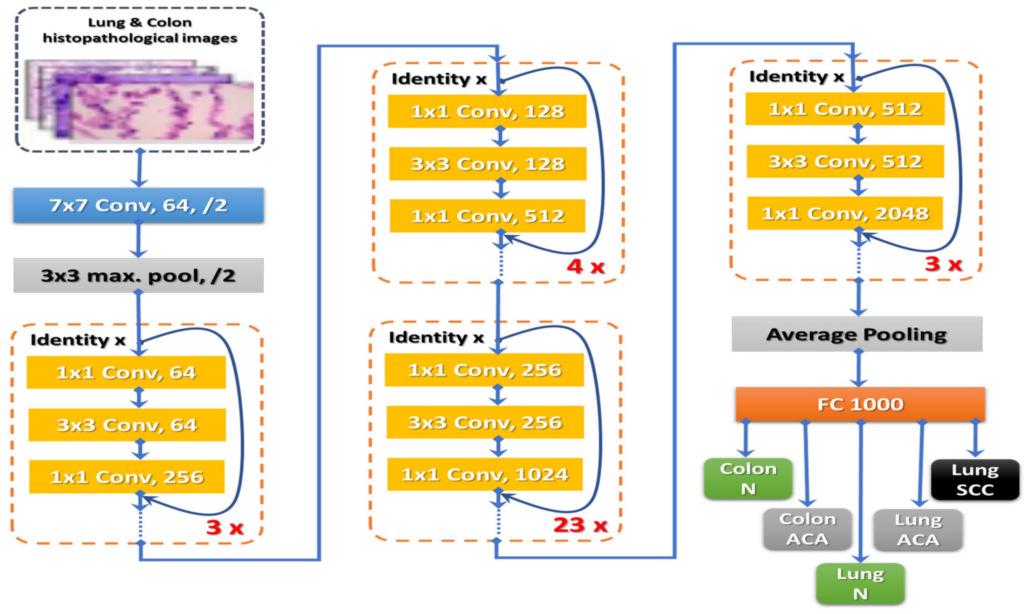 Diagnostics | Free Full-Text | Robustness Fine-Tuning Deep Learning Model for Cancers Diagnosis ...