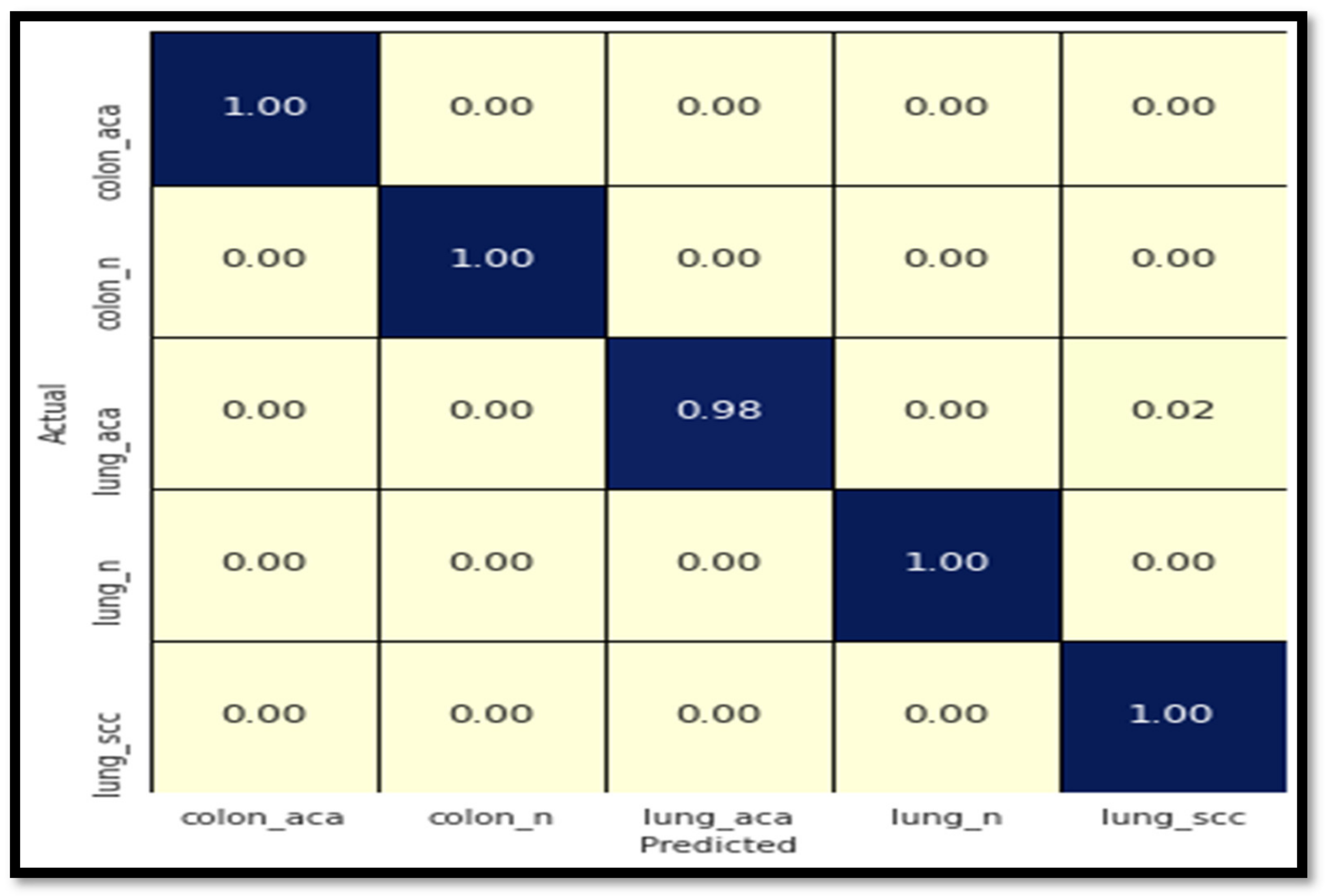 Diagnostics | Free Full-Text | Robustness Fine-Tuning Deep Learning ...