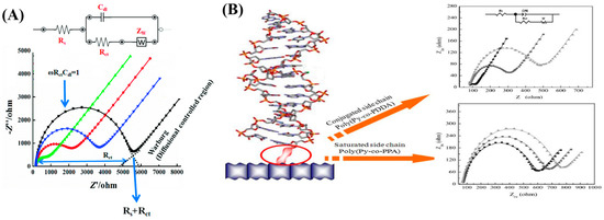Diagnostics | Free Full-Text | Molecular Diagnosis and Cancer Prognosis ...
