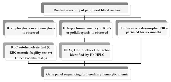 Five Years’ Experience with Gene Panel Sequencing in Hereditary ...