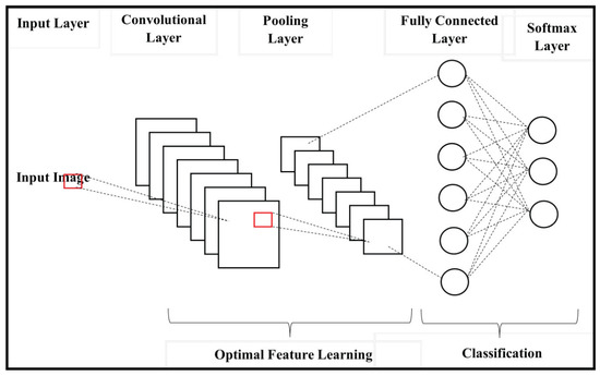 IoT-Enabled Classification of Echocardiogram Images for Cardiovascular ...