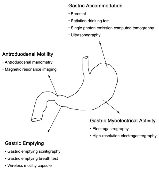 Diagnostic Methods for Evaluation of Gastric Motility—A Mini Review