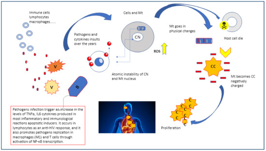 Diagnostics | Free Full-Text | From Pathogens to Cancer: Are Cancer ...