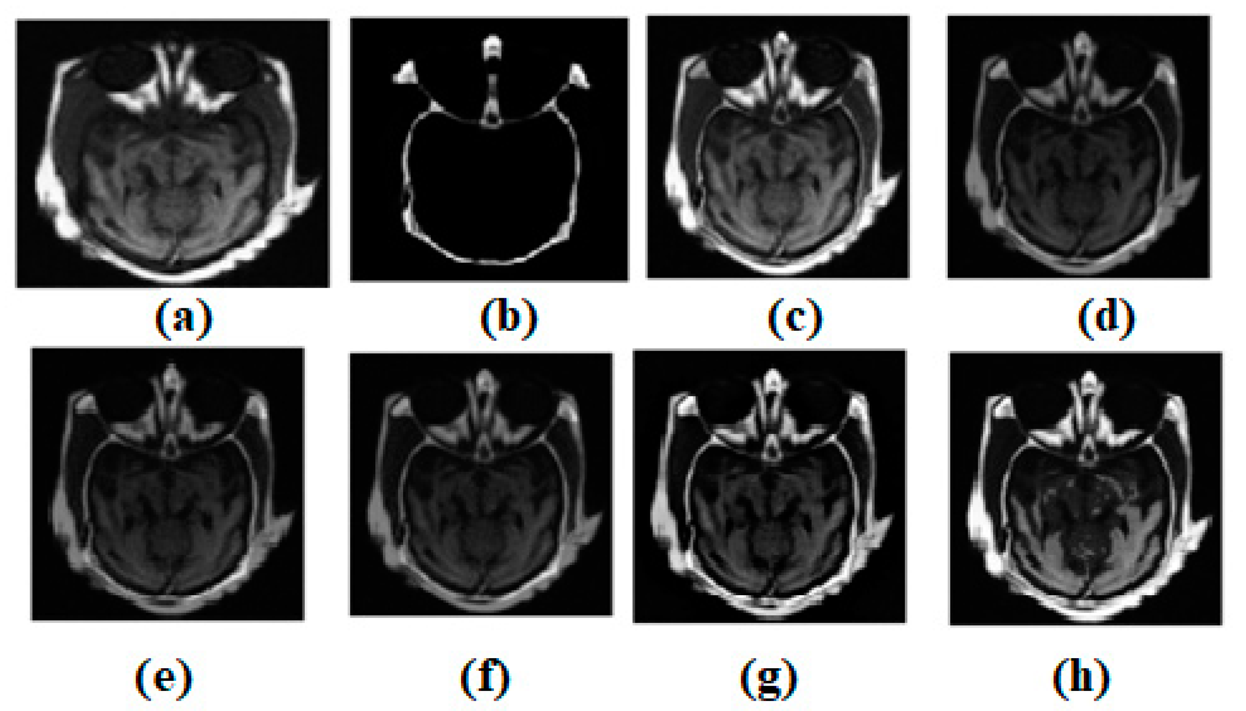 Diagnostics | Free Full-Text | A Non-Conventional Review on Multi ...