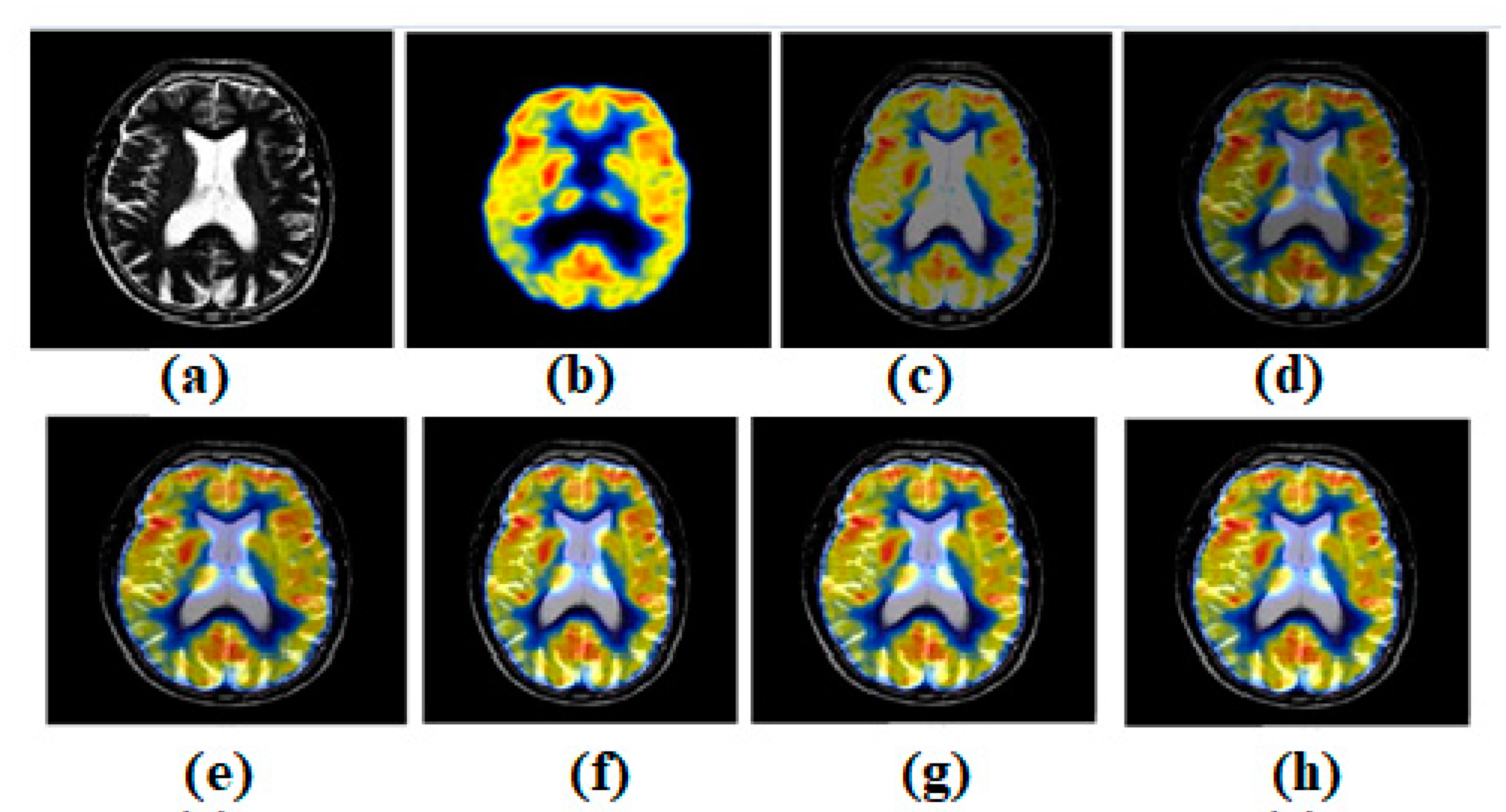 Diagnostics | Free Full-Text | A Non-Conventional Review on Multi ...