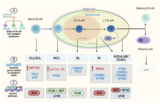 Metabolomics: A New Era in the Diagnosis or Prognosis of B-Cell Non-Hodgkin’s Lymphoma