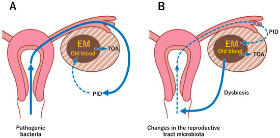 Similarities in Pathogenetic Mechanisms Underlying the Bidirectional ...