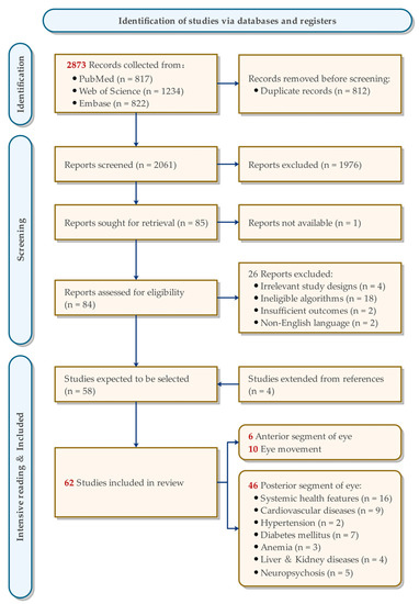 Diagnostics | Free Full-Text | Deep Learning Algorithms for Screening ...
