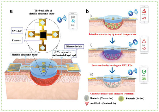 A Systematic Review on the Advanced Techniques of Wearable Point-of ...